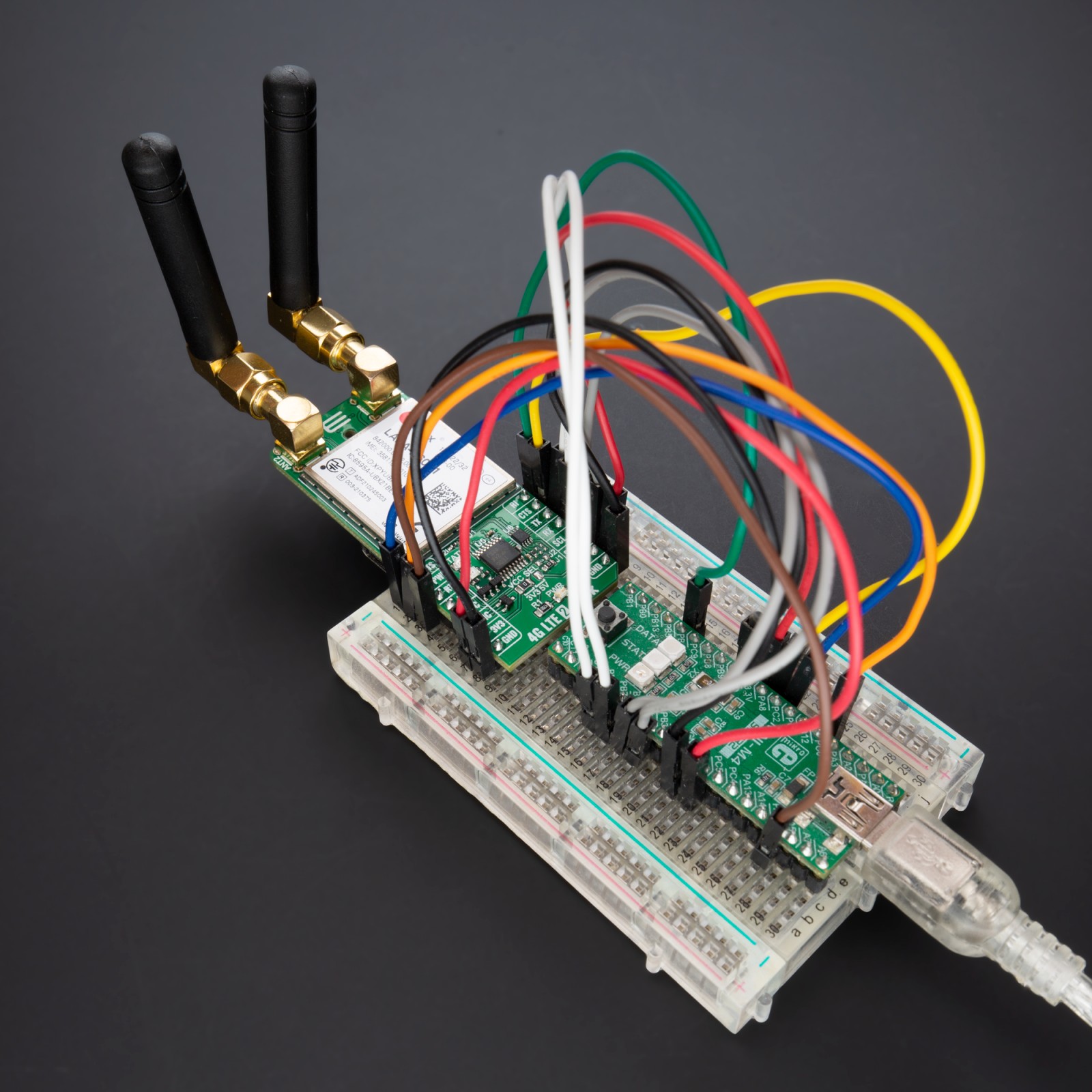 4G LTE 2 Click - Data