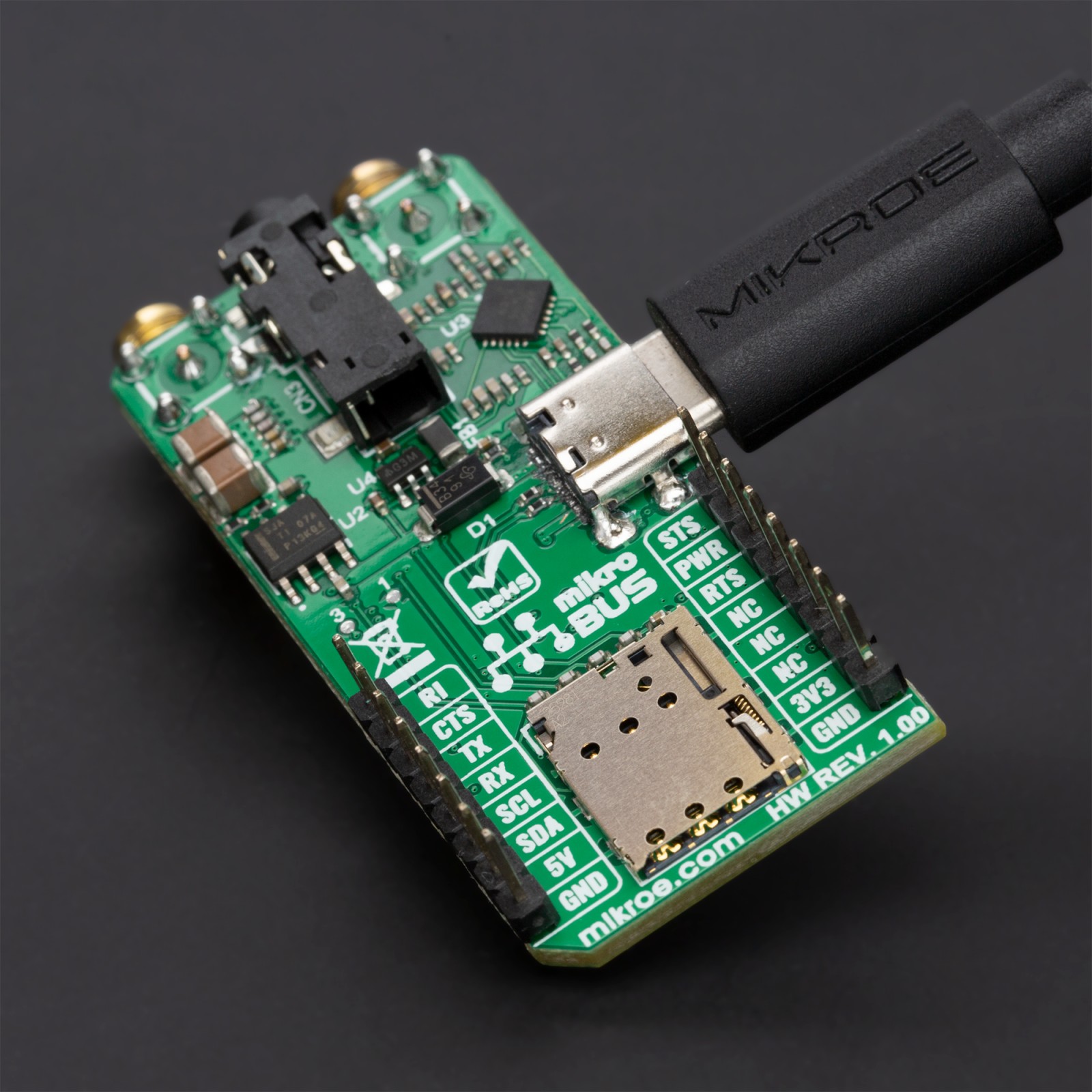 4G LTE 2 Click - Voice