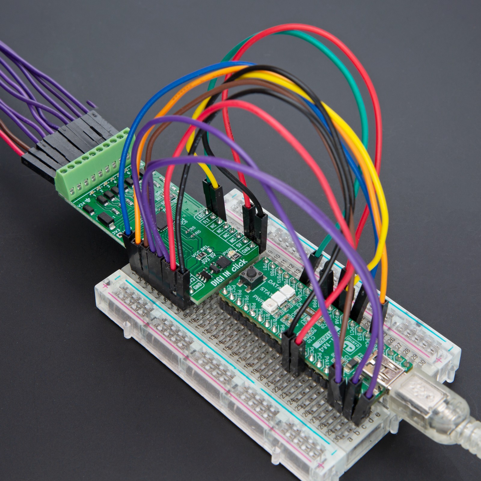 DIGI IN Click with MAX22199 for Robust Industrial Digital Input Reading