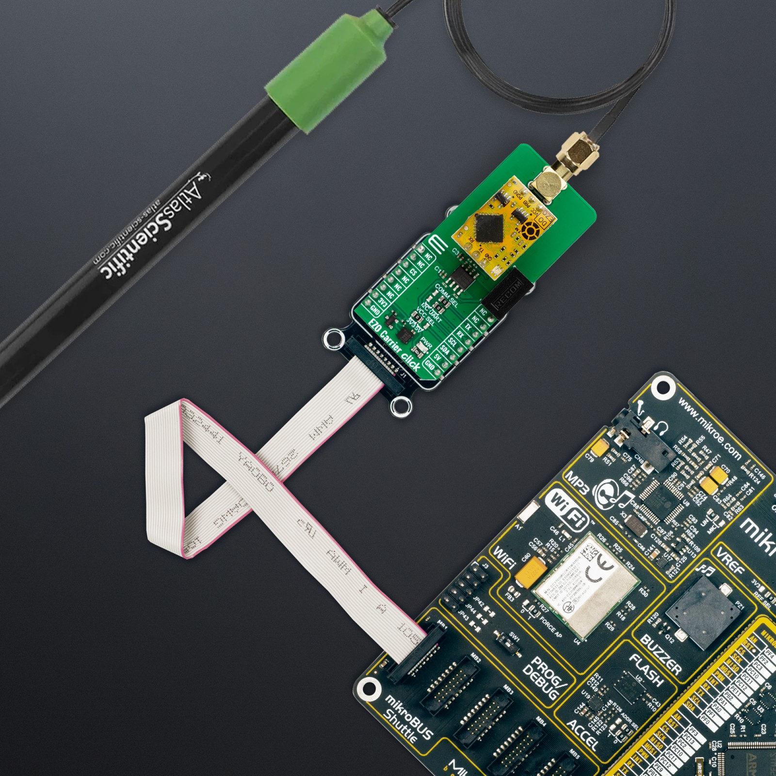 EZO Carrier Click - Oxygen