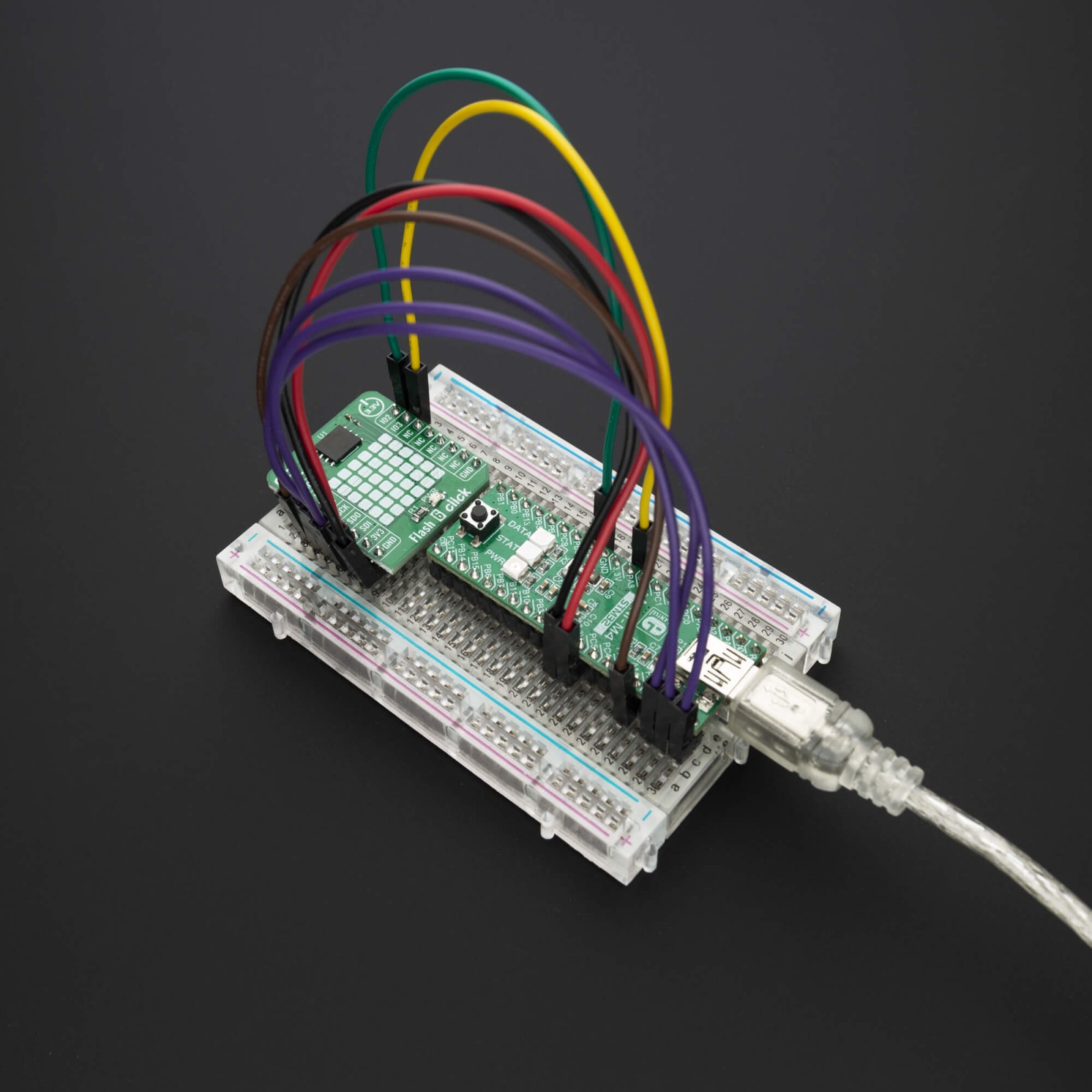 Flash 6 Click Mikroe 