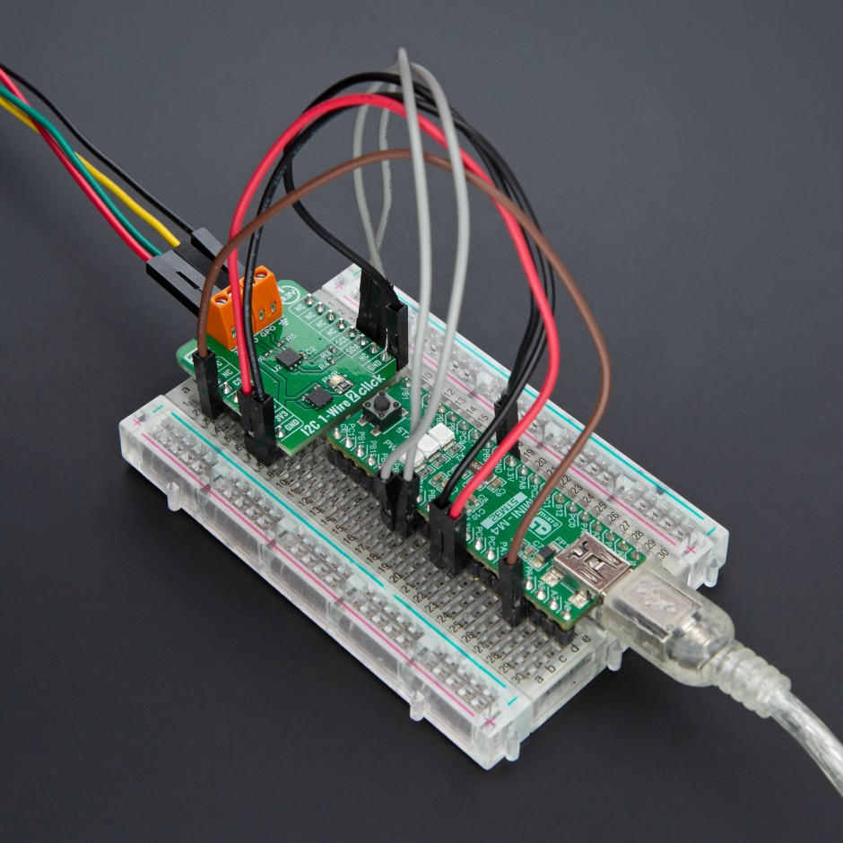 I2C 1-Wire 2 Click