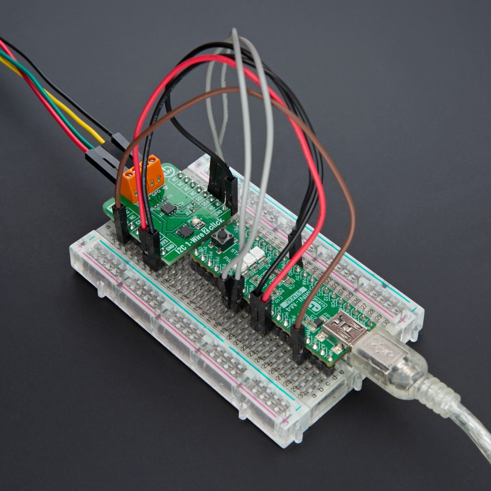 I2C 1-Wire 2 Click