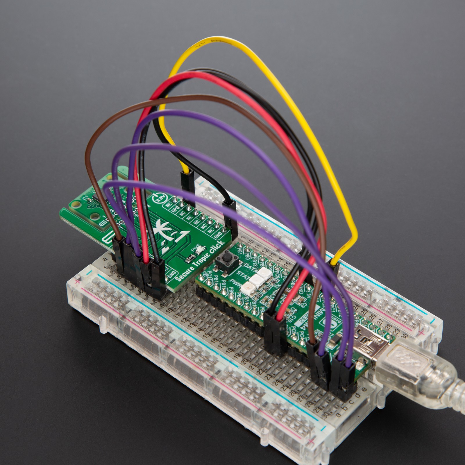 Secure Tropic Click | TROPIC01 Tamper-proof Secure Element Board